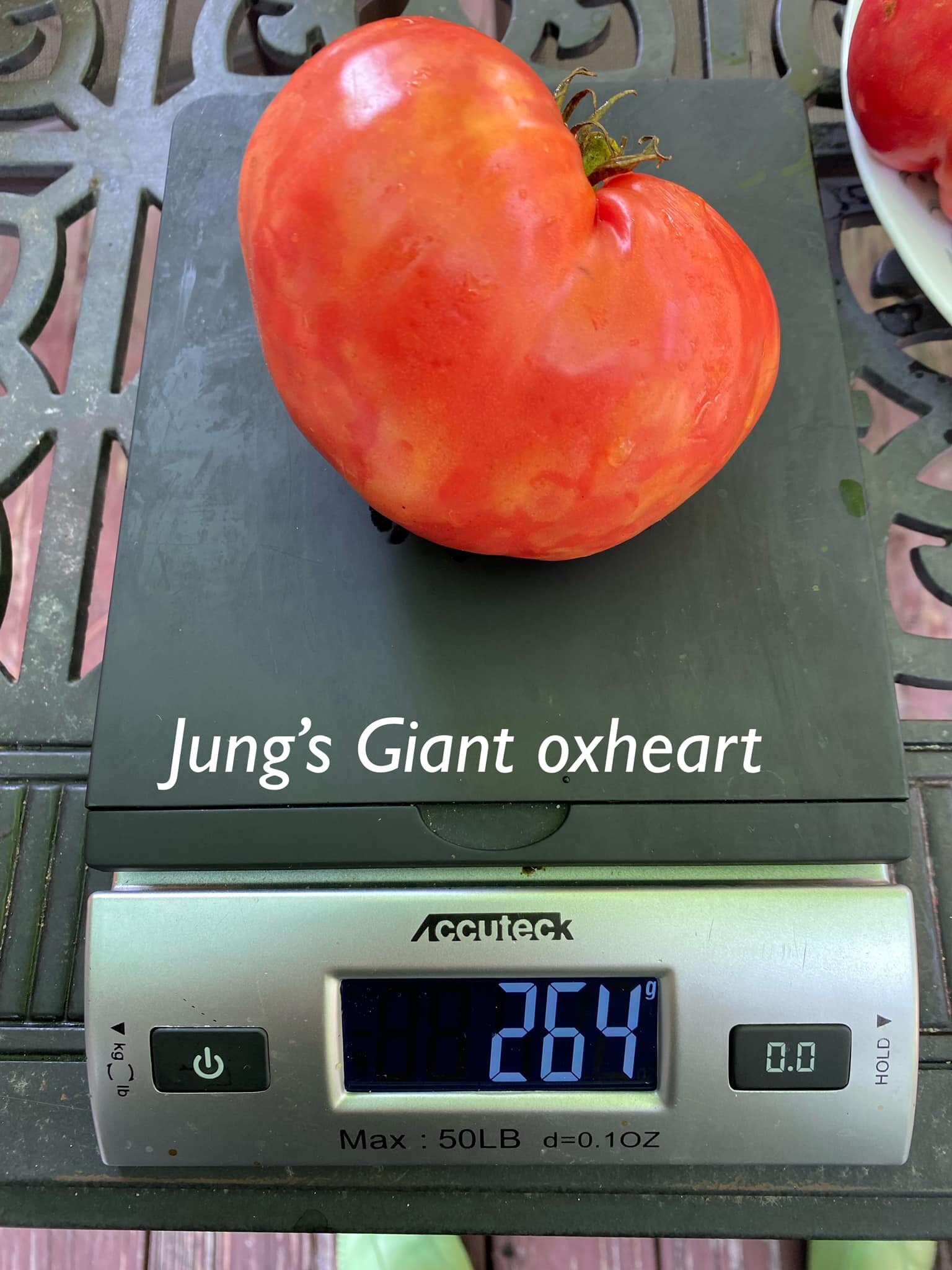 Jung's Giant Oxheart Tomato Seeds - Etsy Canada