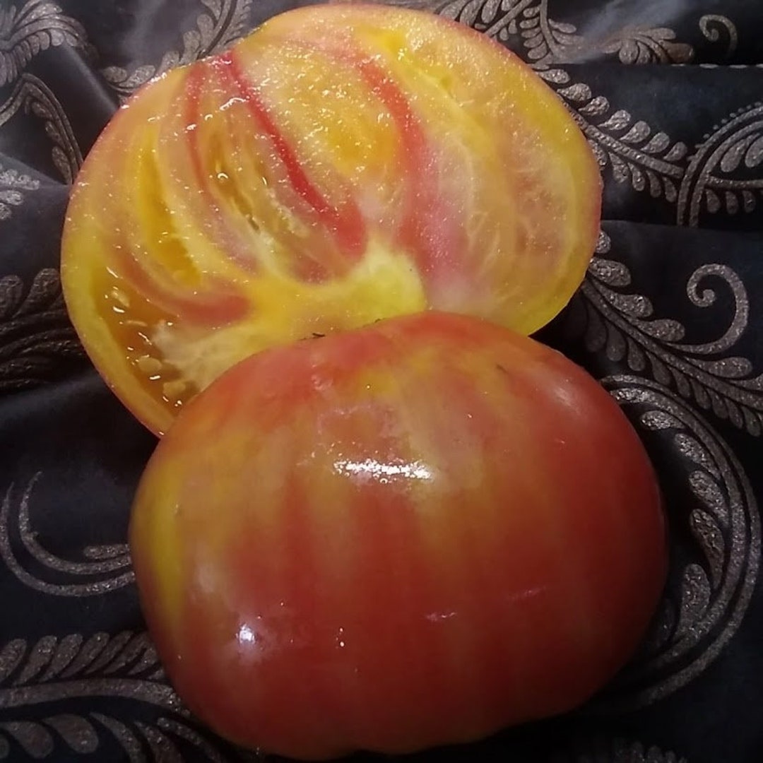 Seven Rivers Bicolor Yellow Tomato Seeds - Etsy
