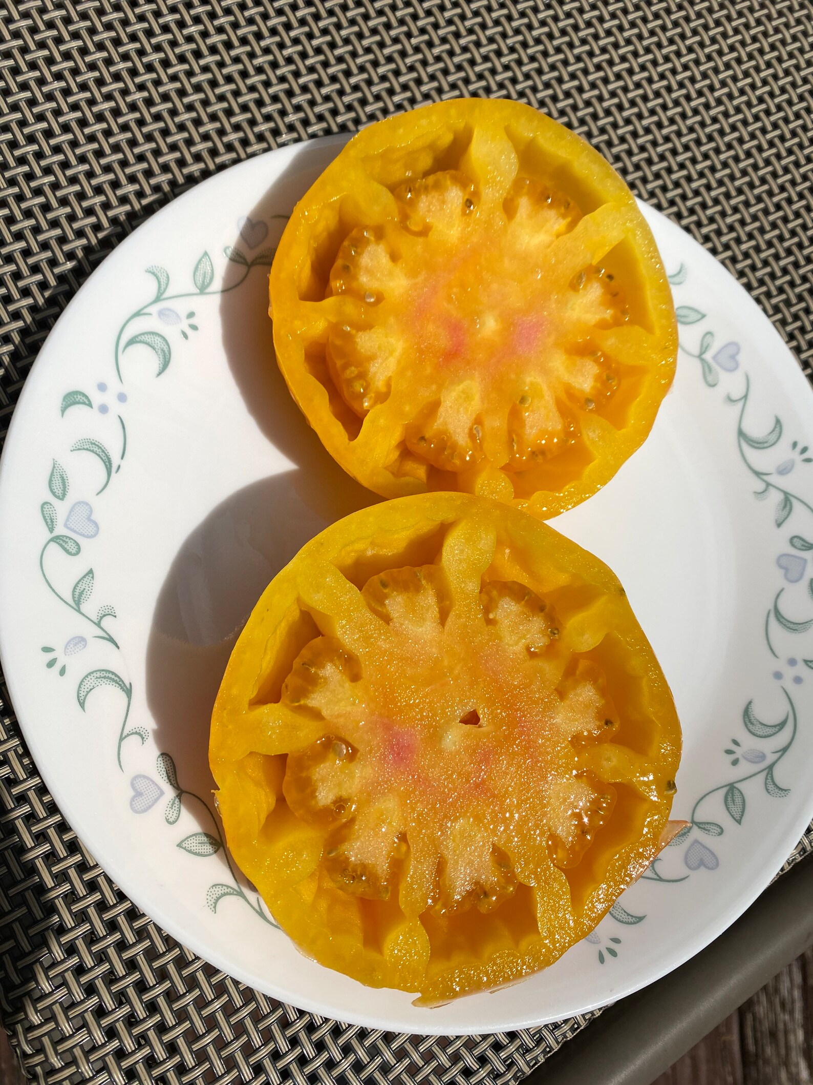 Seven Rivers Bicolor Yellow Tomato Seeds - Etsy