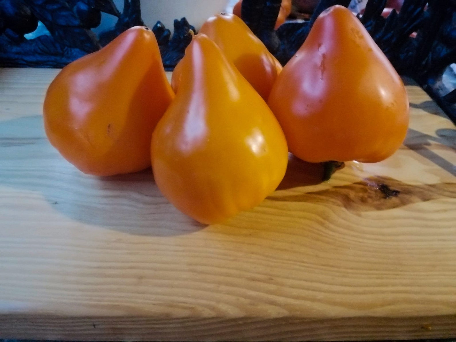 Amber Baron, Tomato Seeds From Kazakhstan Variety - Etsy