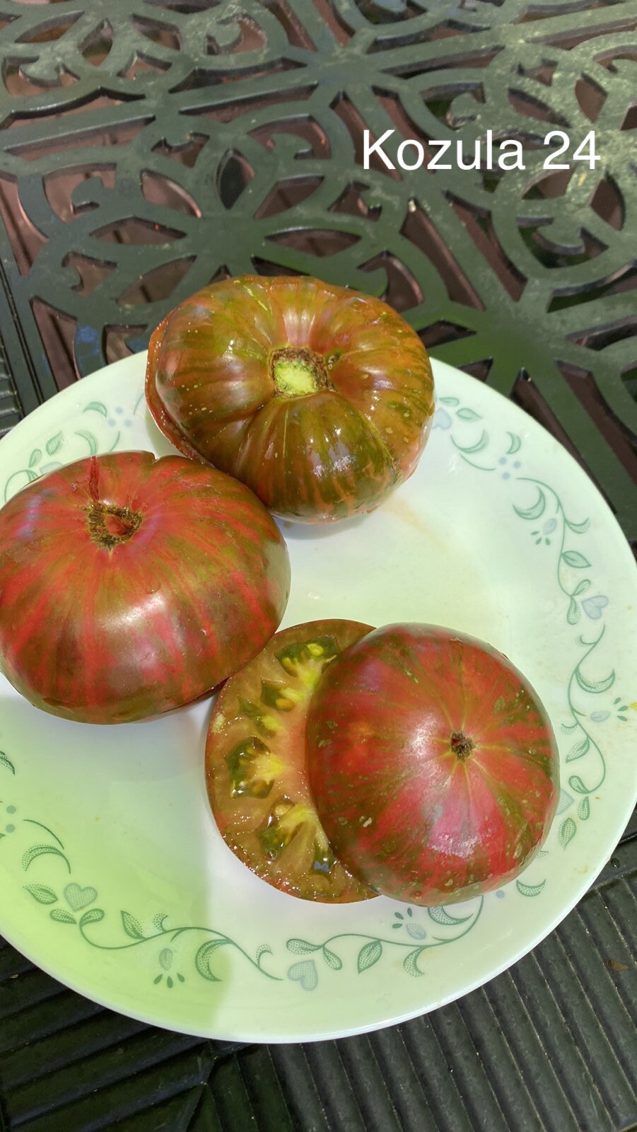 Kozula 24 Tomato Seeds - Etsy