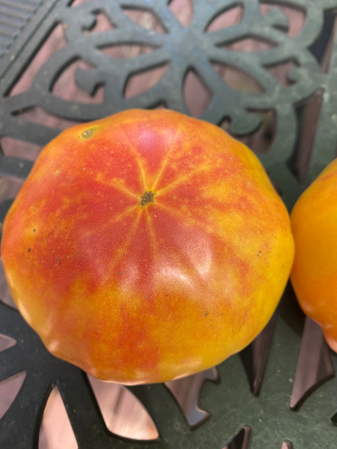 Seven Rivers Bicolor Yellow Tomato Seeds - Etsy