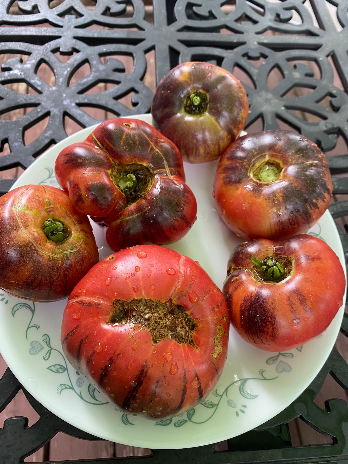 Aurora Blue Tomato Seeds - Etsy