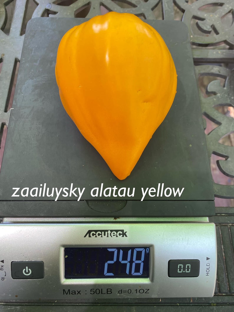 Zailijsky Alatau Yellow Heart Tomato Seeds, Kazakhstan - Etsy