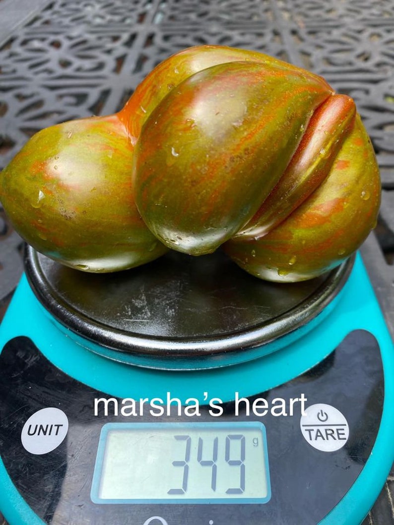 Marsha's Rebel Starfighter Heart Tomato Seeds - Etsy