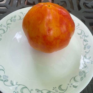 Amber Baron, Tomato Seeds From Kazakhstan Variety - Etsy