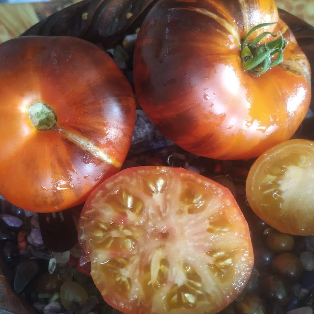 P-20 Beauty King Tomato Seeds - Etsy