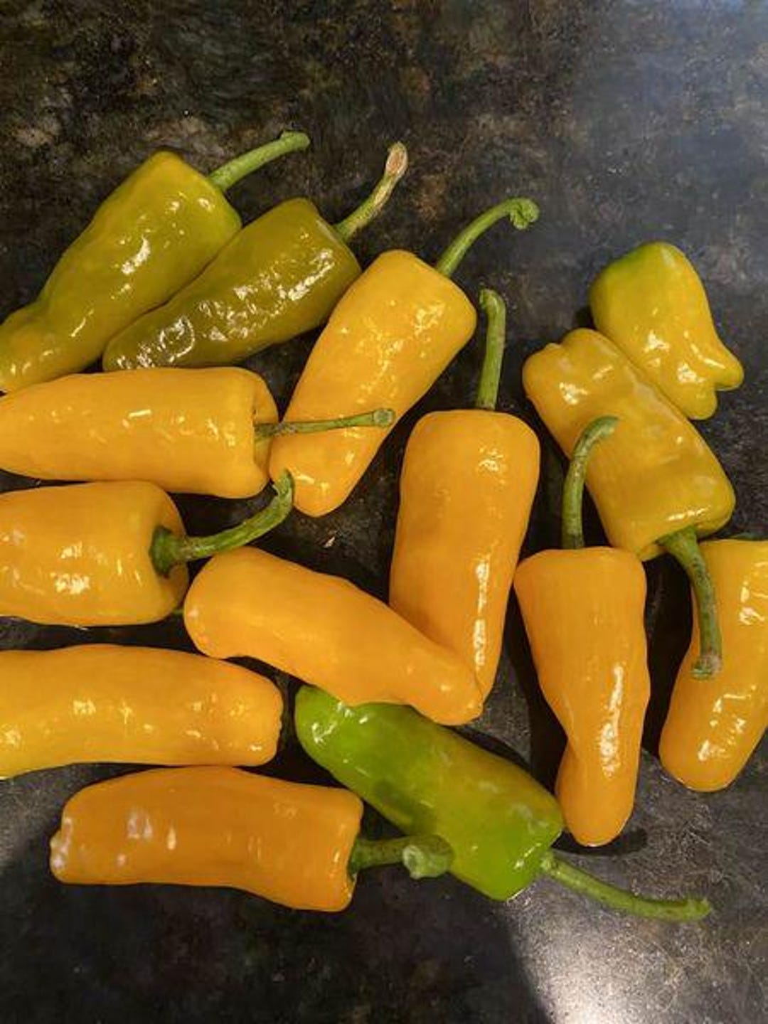 Datil Chili Pepper Seeds - Etsy