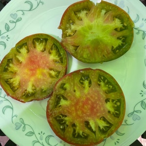 Seven Rivers Tricolor Tomato Seeds - Etsy