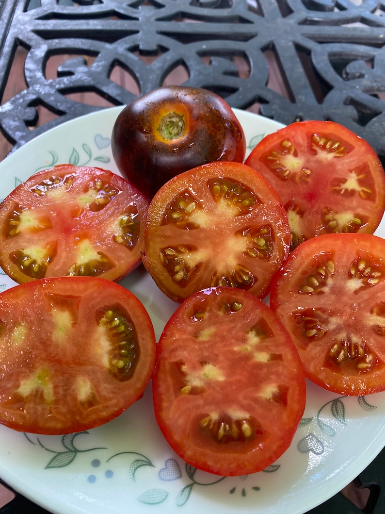 Indigo Apple Tomato Seeds - Etsy