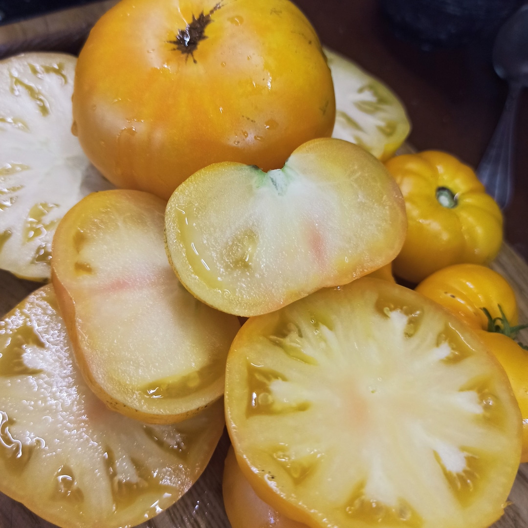 Dwarf Elsie Fancy Tomato Seeds - Etsy