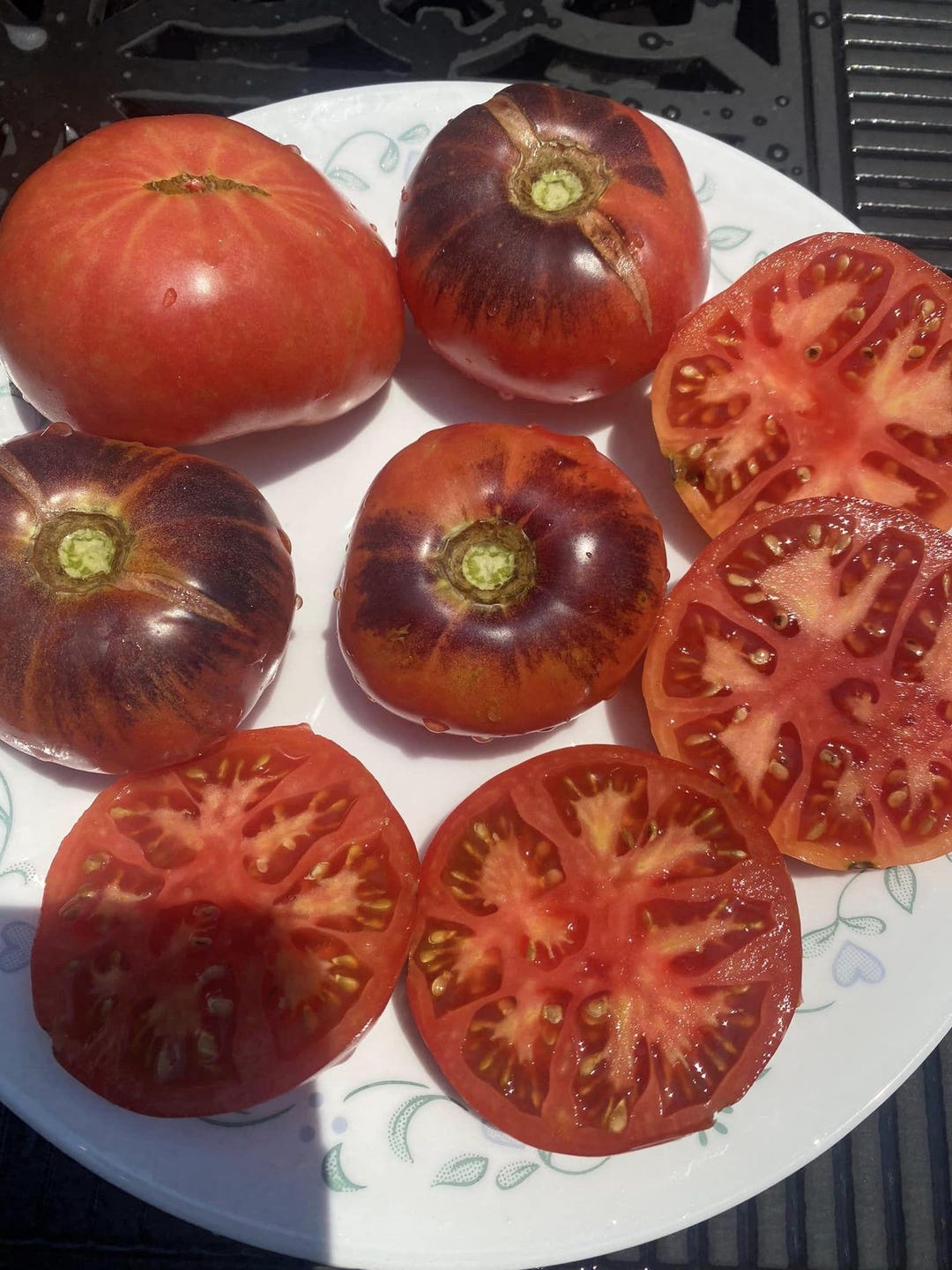 Mar Azul Tomato Seeds - Etsy