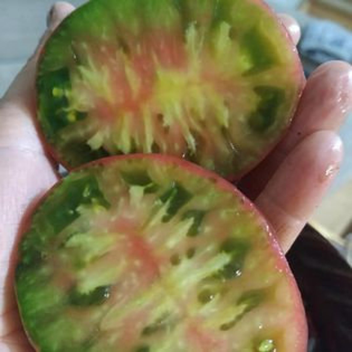 Hippie Zebra Tomato Seeds - Etsy