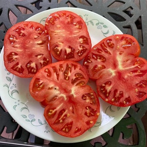 Kumbel Tomato Seeds From Kazakhstan - Etsy