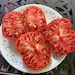 Kumbel Tomato Seeds From Kazakhstan - Etsy