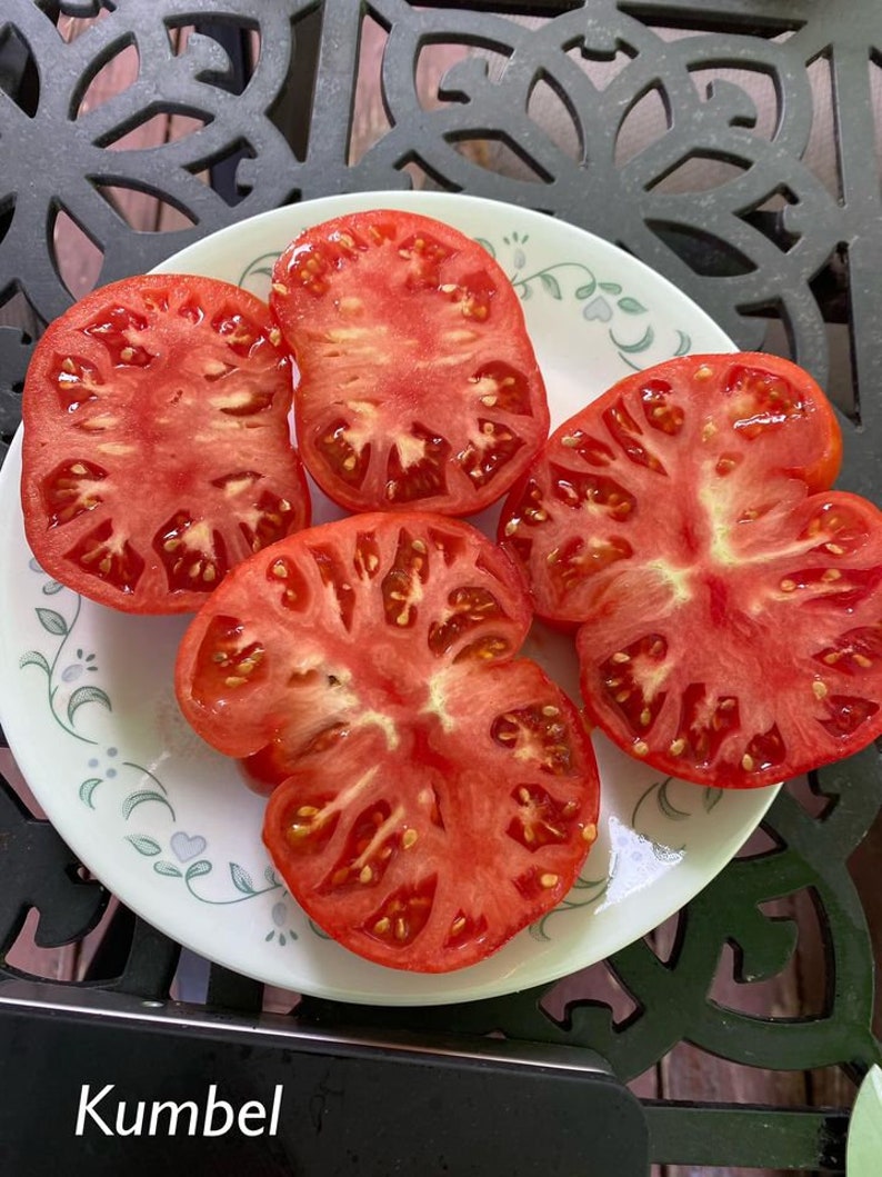 Kumbel Tomato Seeds From Kazakhstan - Etsy