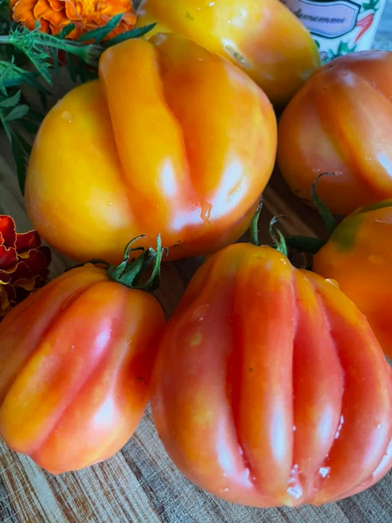 California Tulip Tomatoes Seeds - Etsy