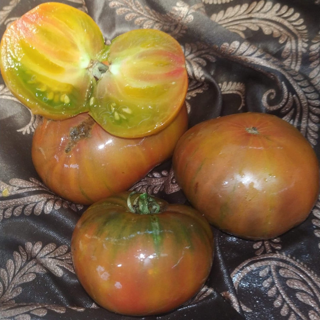 Seven Rivers Tricolor Tomato Seeds - Etsy