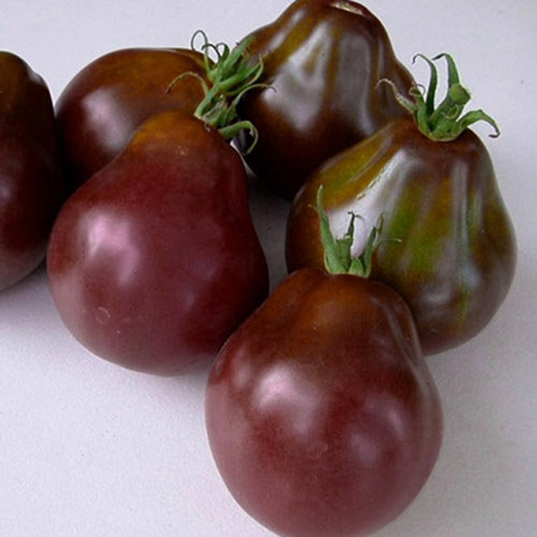 Black Truffle Tomatoes Seeds - Etsy