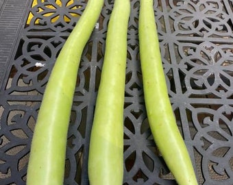Cucuzzi (edible) Gourd Seeds | Heirloom - Etsy