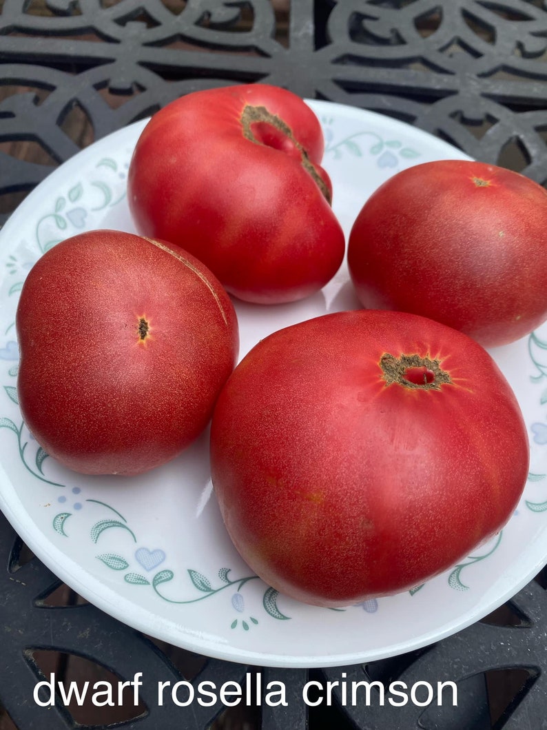 Dwarf Rosella Crimson Tomato Seeds - Etsy