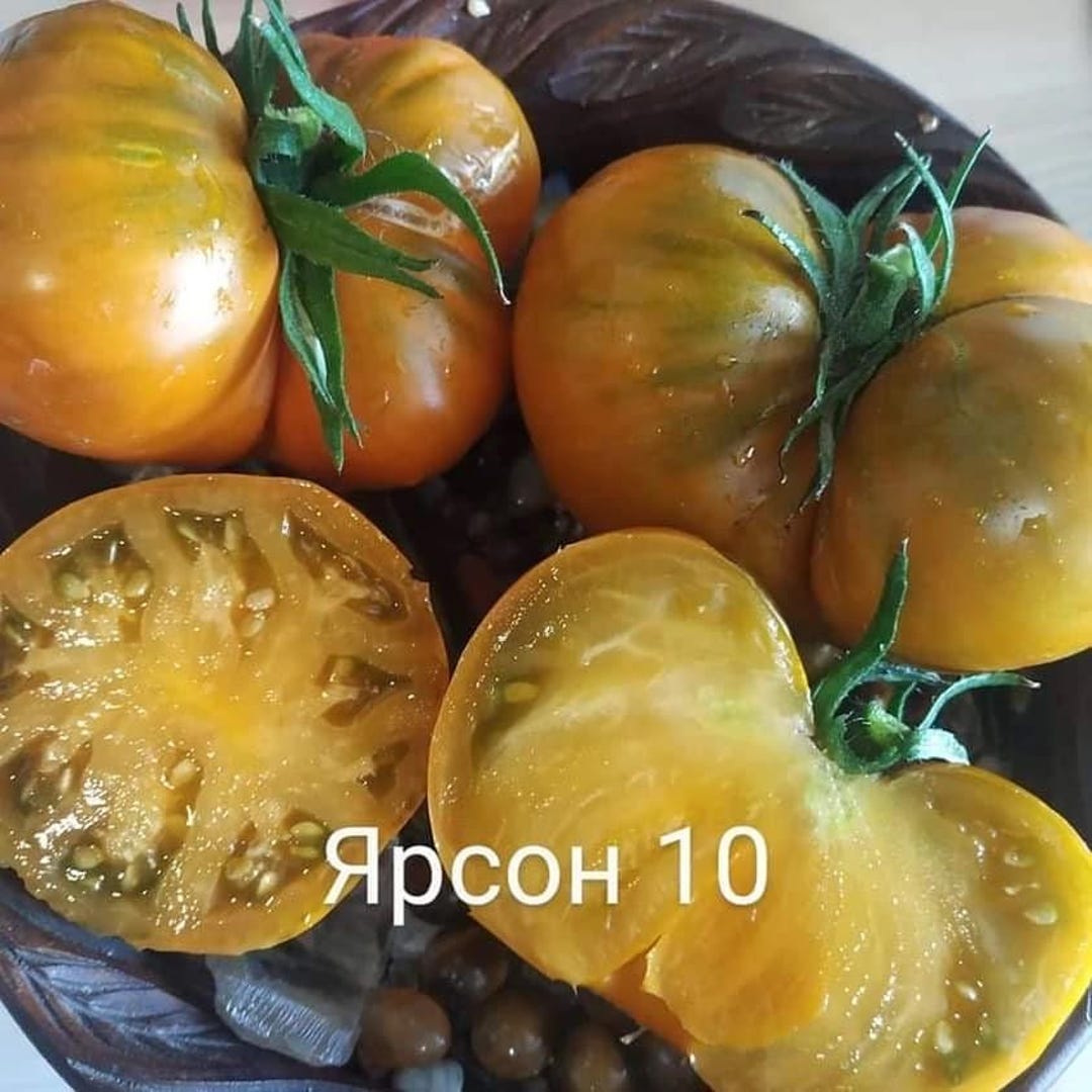 Jarson 10 Tomatoes Seeds - Etsy