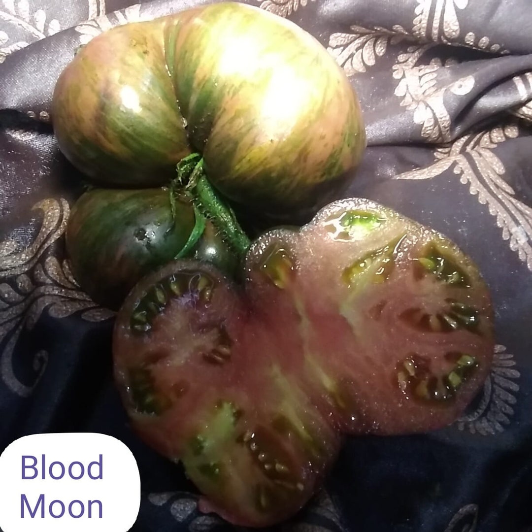Blood Moon Tomato Seeds - Etsy