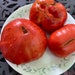 Kumbel Tomato Seeds From Kazakhstan - Etsy