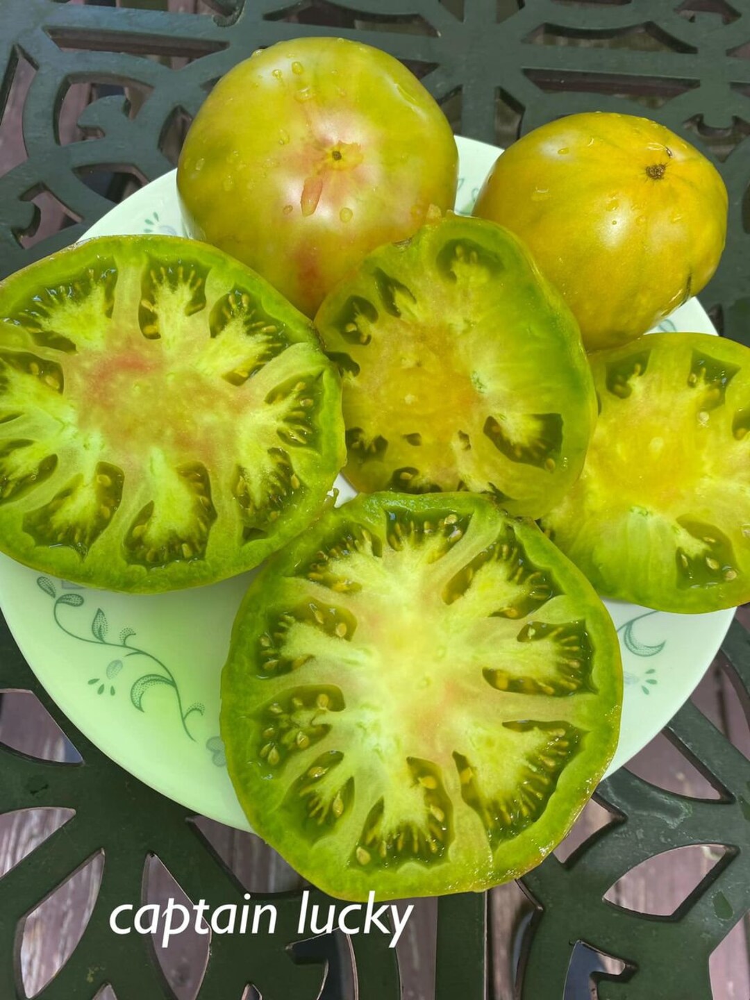Captain Lucky Tomato Seeds - Etsy