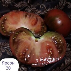 Jarson 20 Tomato Seeds, Poland - Etsy