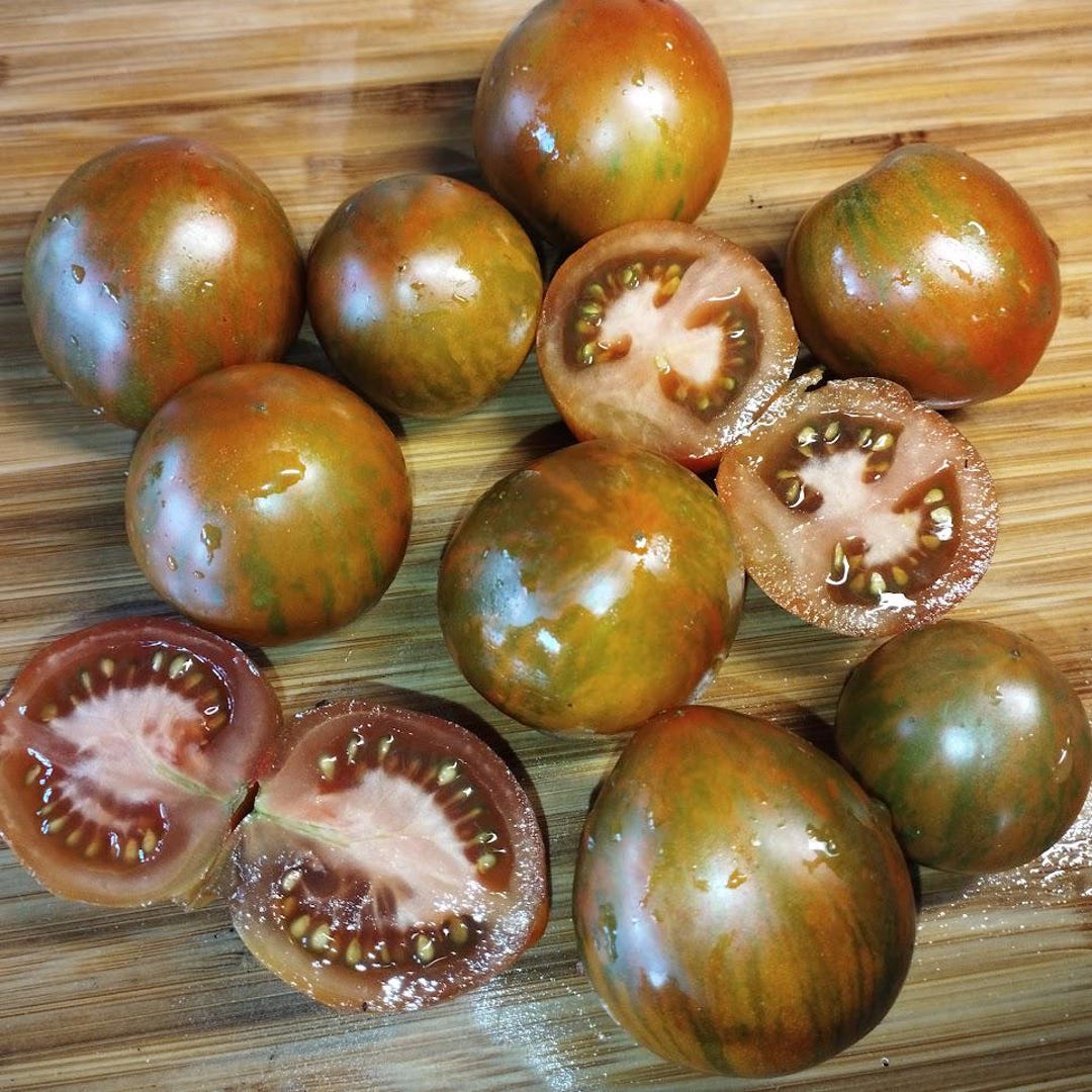Violet Jasper Tomato Seeds - Etsy