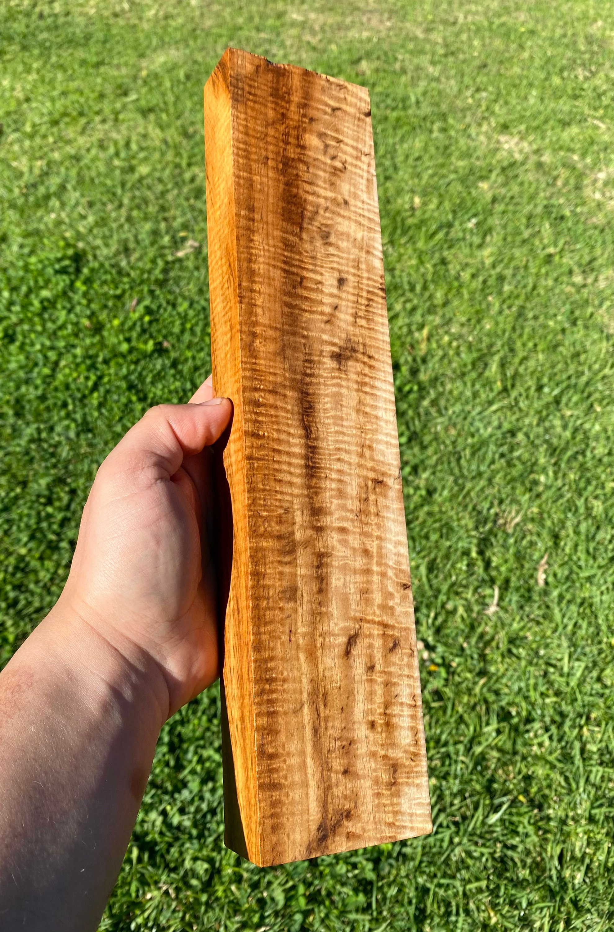 Fiddleback Tasmanian Oak Billet Hardwood Wood Turning Timber - Etsy ...
