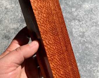 Beefwood Tree - Etsy