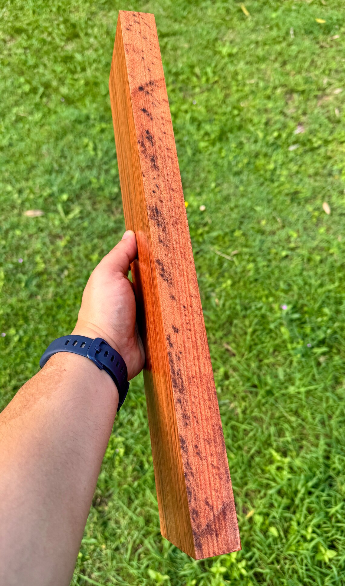 Tasmanian Tiger Myrtle Billet Wood Craft Hardwood Timber #30 - Etsy