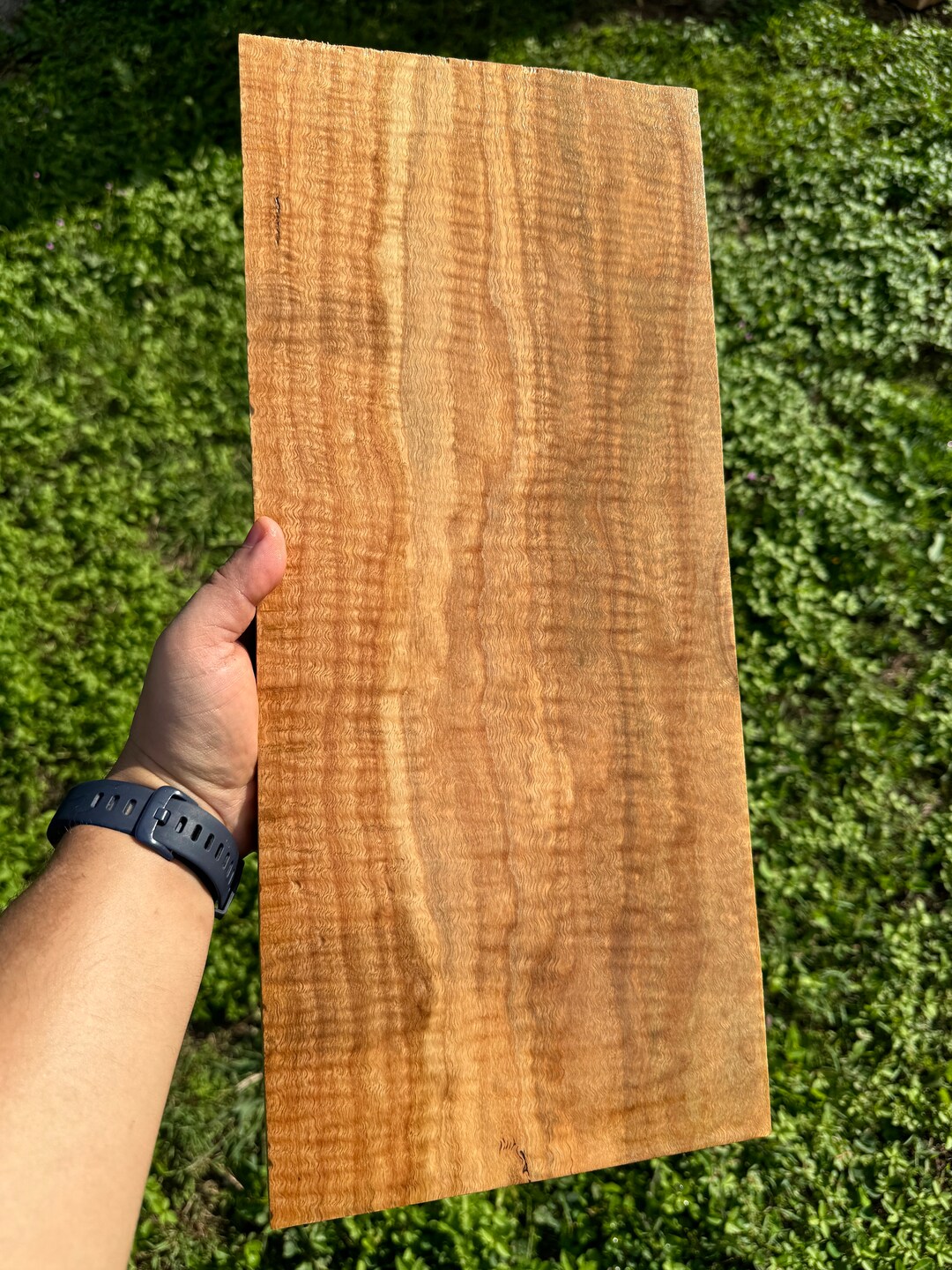 Rare Western Australian Curly Marri Board Woodworking Wood Craft Timber ...