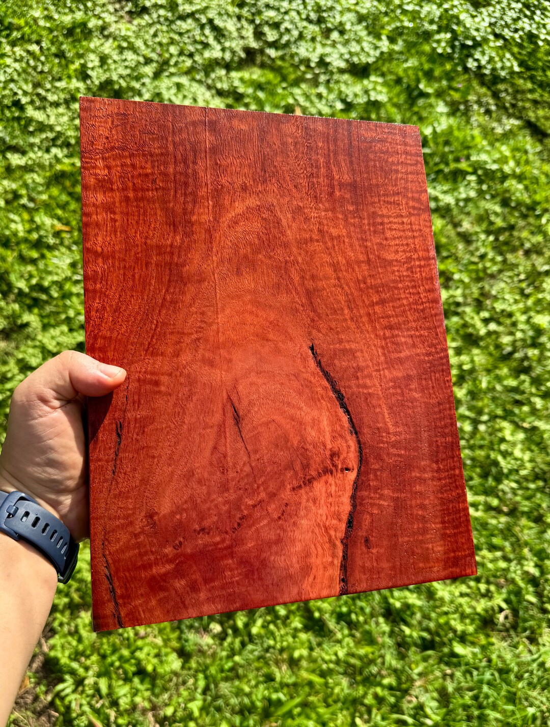 Large Australian Redgum Billet Woodworking Wood Turning Craft Timber 36 ...