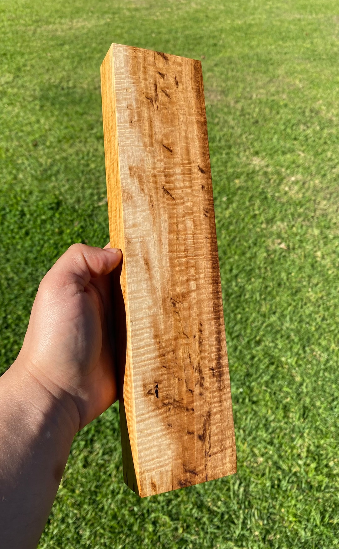 Curly Tasmanian Oak Billet Wood Carving Woodturning Saya Making DIY ...