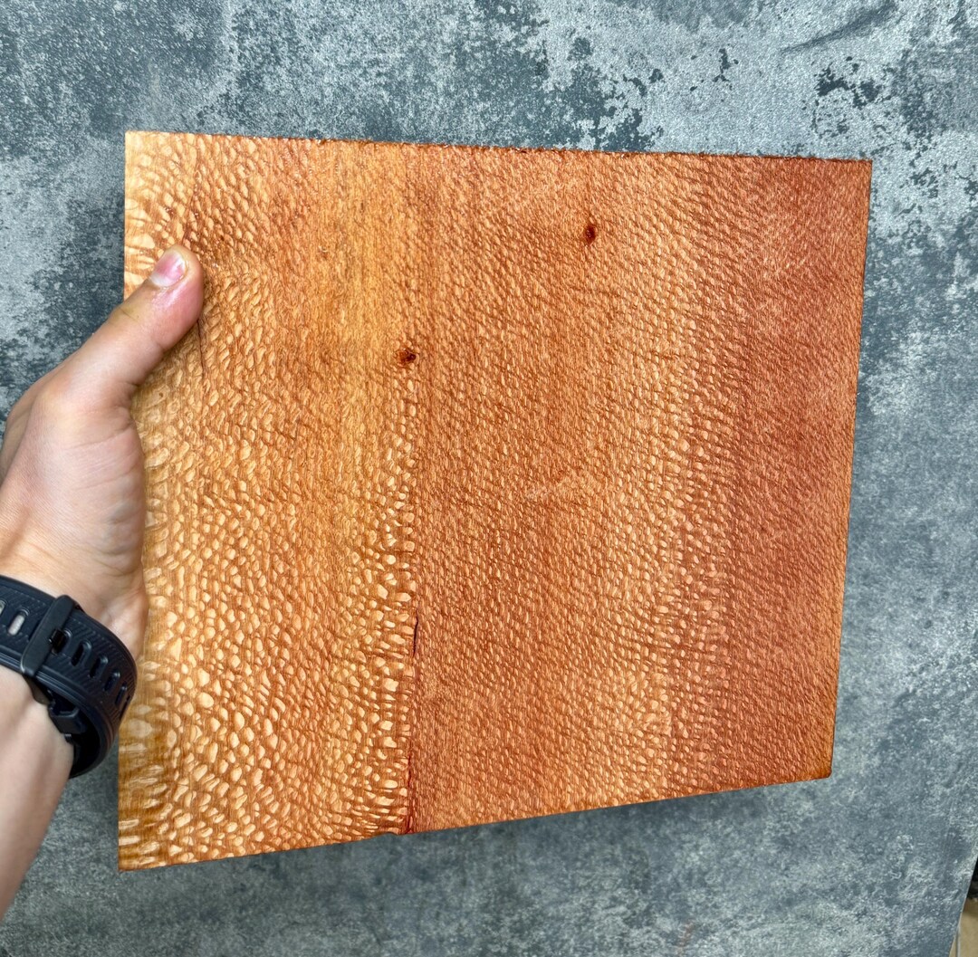 Rare Large Macadamia Block Woodturning Woodworking Carving Craft Timber ...