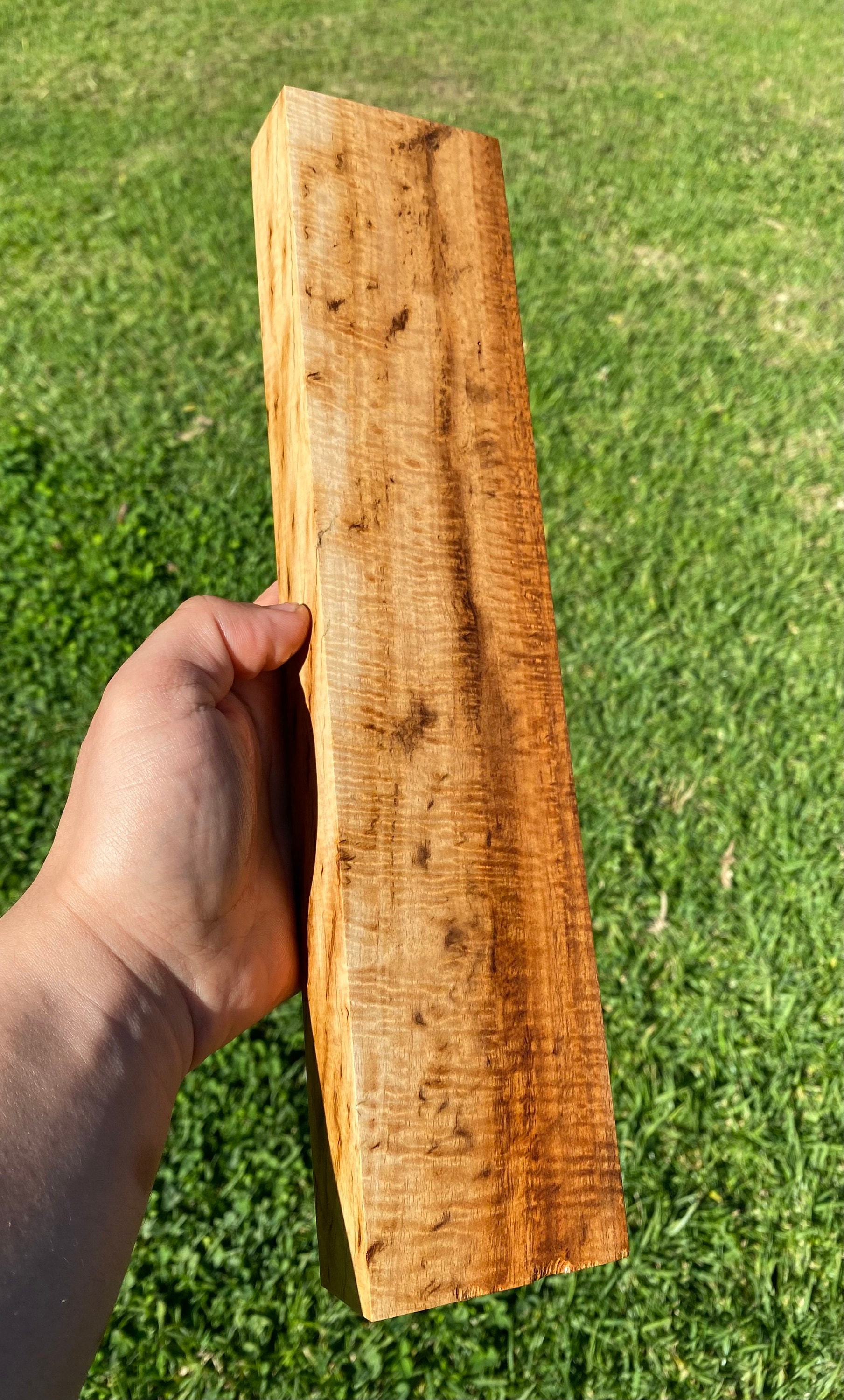 Fiddleback Tasmanian Oak Billet Hardwood Wood Turning Timber - Etsy ...
