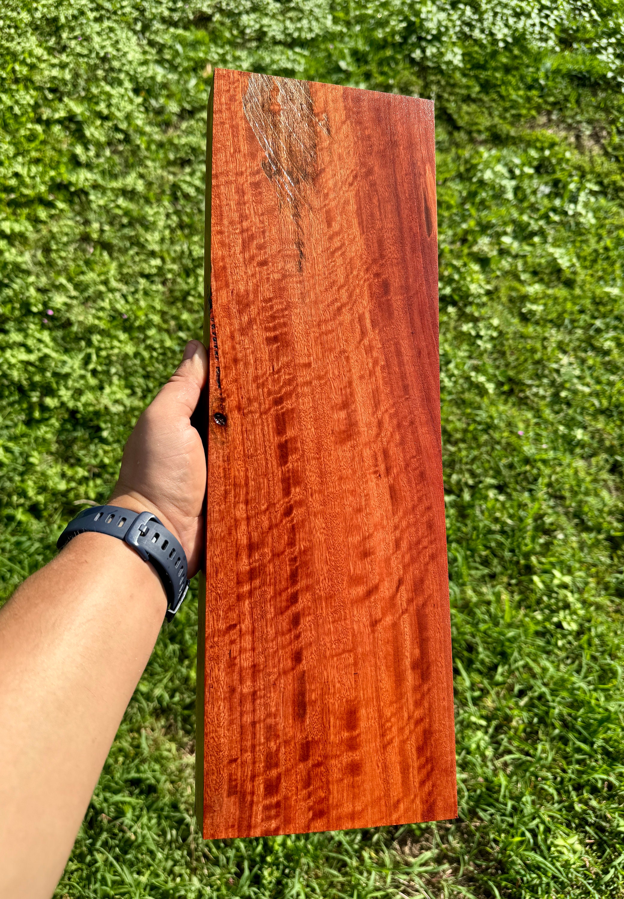 Quilt Curly River Redgum Billet Woodworking Wood Turning DIY Timber #35 ...