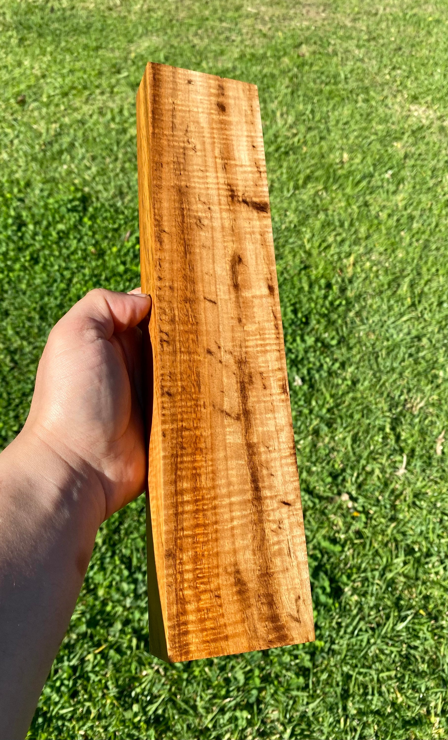 Fiddleback Tasmanian Oak Billet Hardwood Wood Turning Timber - Etsy ...