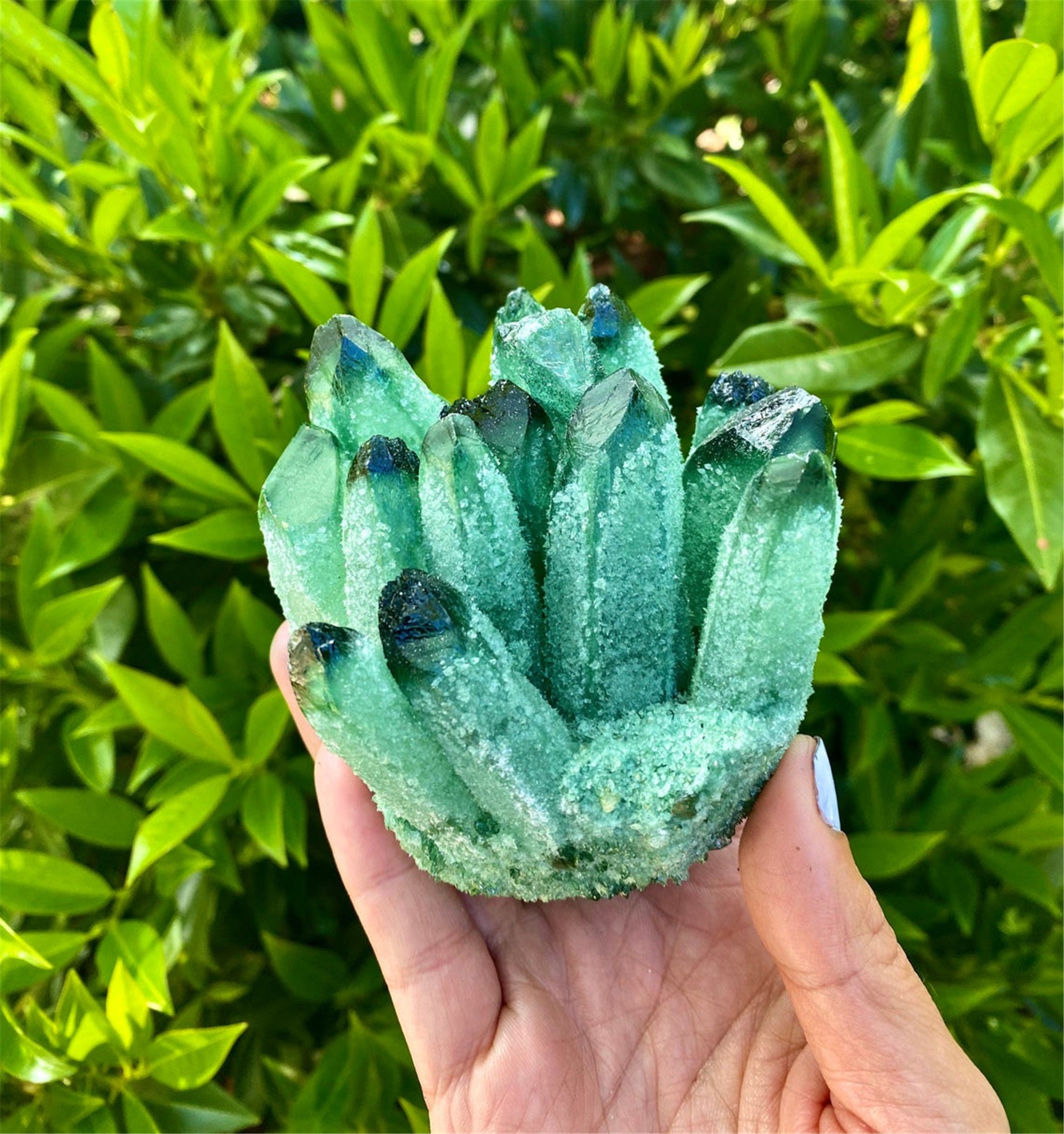 1PC Green Quartz Crystal ClusterQuartz Crystal PointQuartz | Etsy