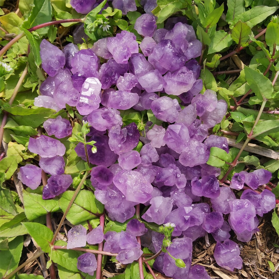 Natural Amethyst Cluster,quartz Crystal Flower,crystal Chakra,mineral ...