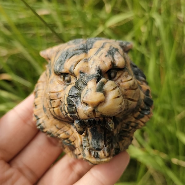 Tiger Skin Jasper - Etsy