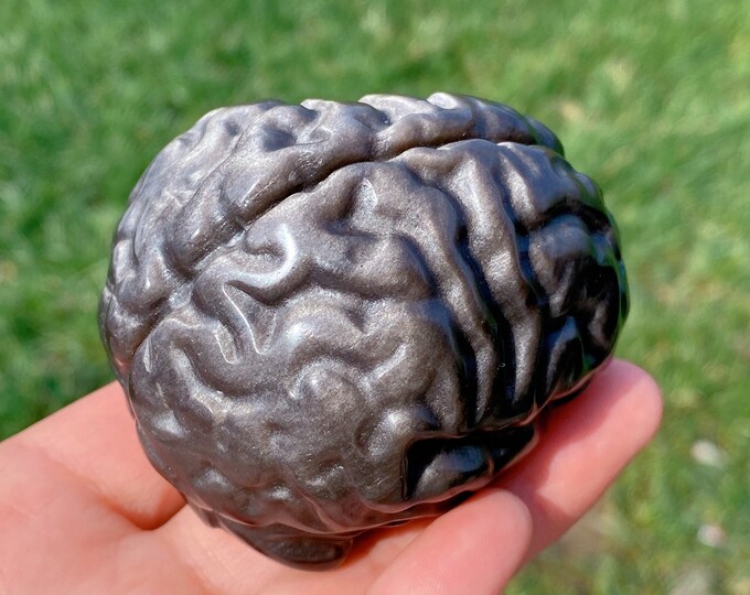 Natural Silver Obsidian Brain,quartz Crystal Human Brain,crystal ...