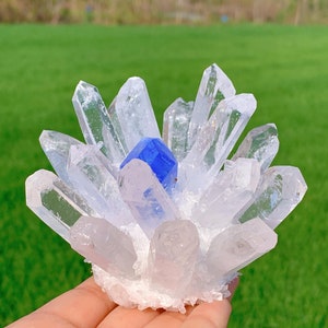 320-450g Natural Clear Quartz Crystal Cluster,crystal Vug,collection ...
