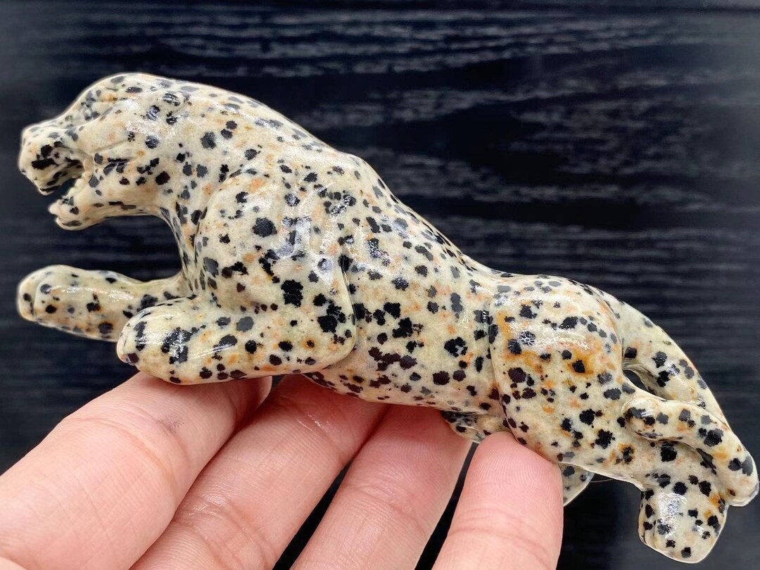 Natural Dalmatian Jasper Leopard,quartz Crystal Leopard,crystal Energy ...