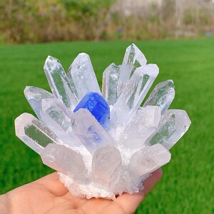 320-450g Natural Clear Quartz Crystal Cluster,crystal Vug,collection ...