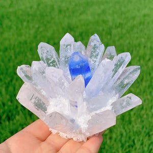 320-450g Natural Clear Quartz Crystal Cluster,crystal Vug,collection ...