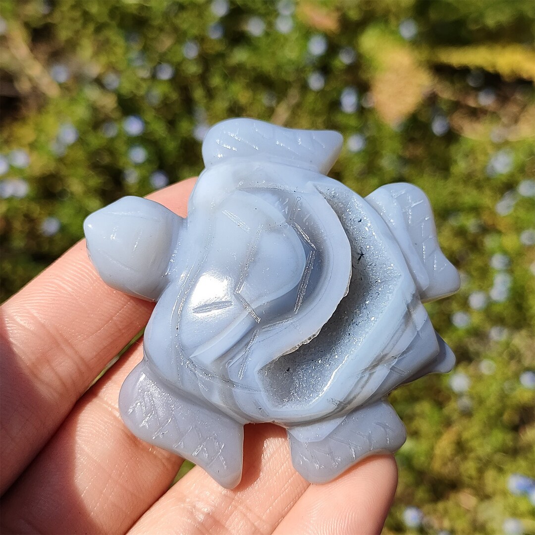 2 Natural Geode Agate Sea Turtle,quartz Crystal Turtle Skull,home ...